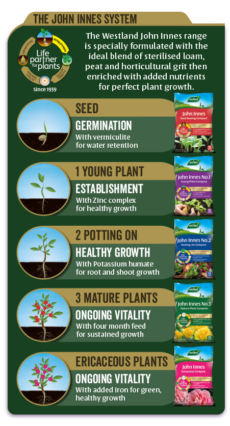 What is the difference between John Innes 2 and 3? - Tropical Plant Guy