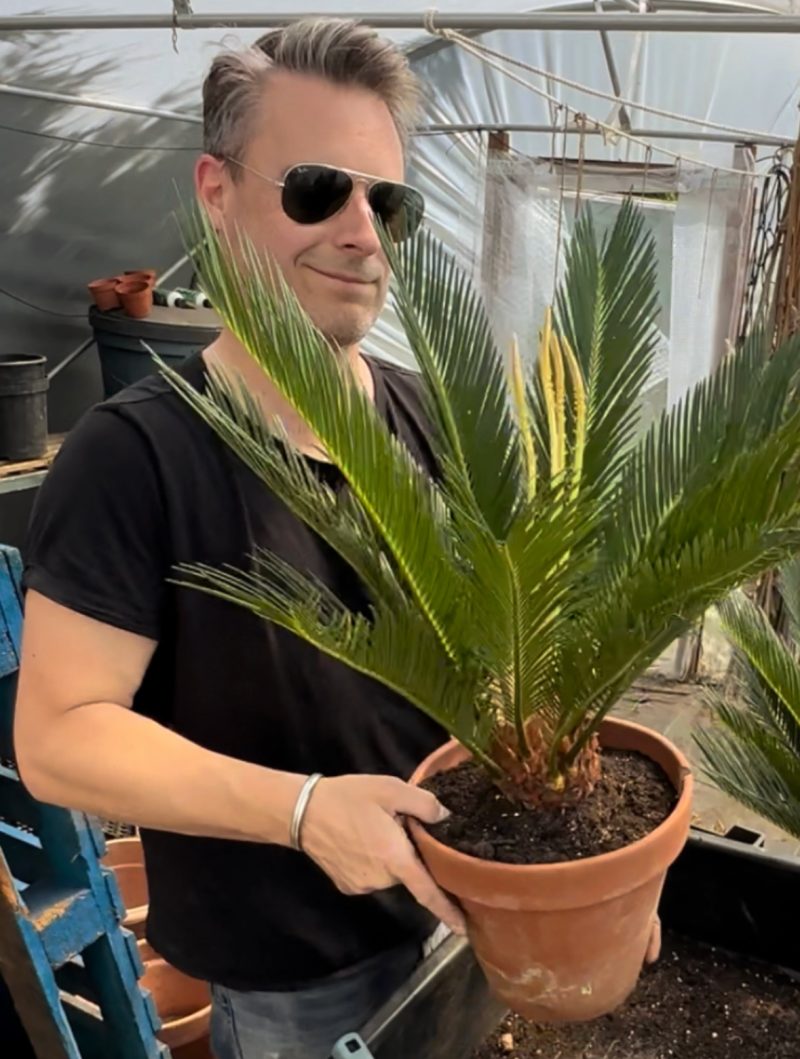 About the Tropical Plant Guy - Tropical Plant Guy